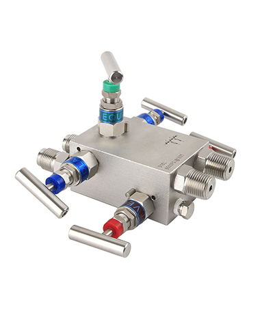 1982 5 way valve manifold - Ningbo Rising Instrument Co. Ltd.