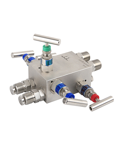 1982 5 way valve manifold - Ningbo Rising Instrument Co. Ltd.